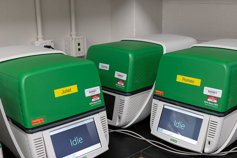 Bowen_testing_lab_07.png - The Daily Gamecock at University of South ...