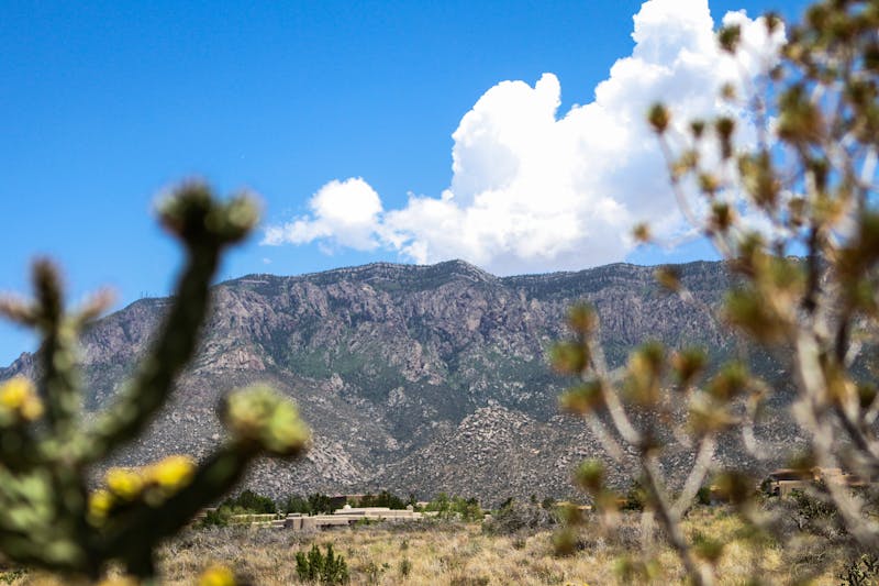 South Fork and Salt fires burn 40 square miles in south-central New ...