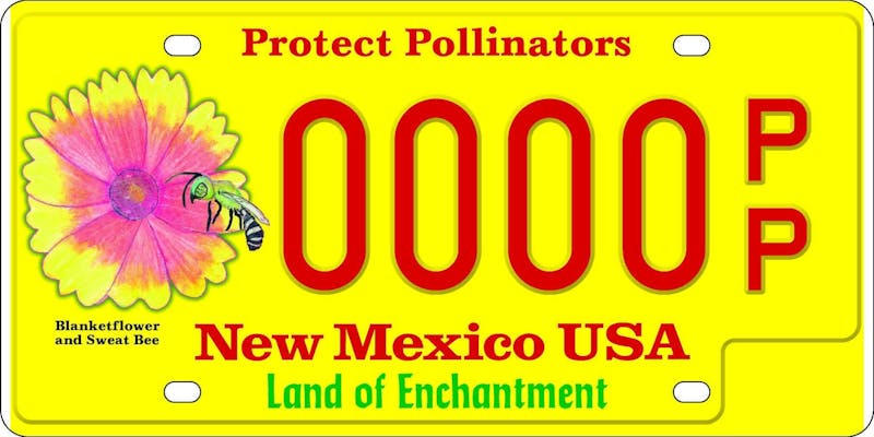 pollinator license plate.jpg - The Daily Lobo