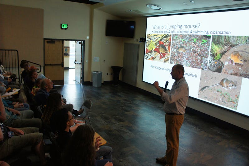 New Mexico museum highlights the meadow jumping mouse - The Daily Lobo