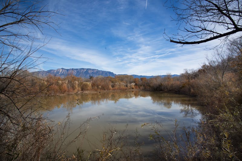 PHOTO STORY: The last weeks of autumn at the Bosque - The Daily Lobo