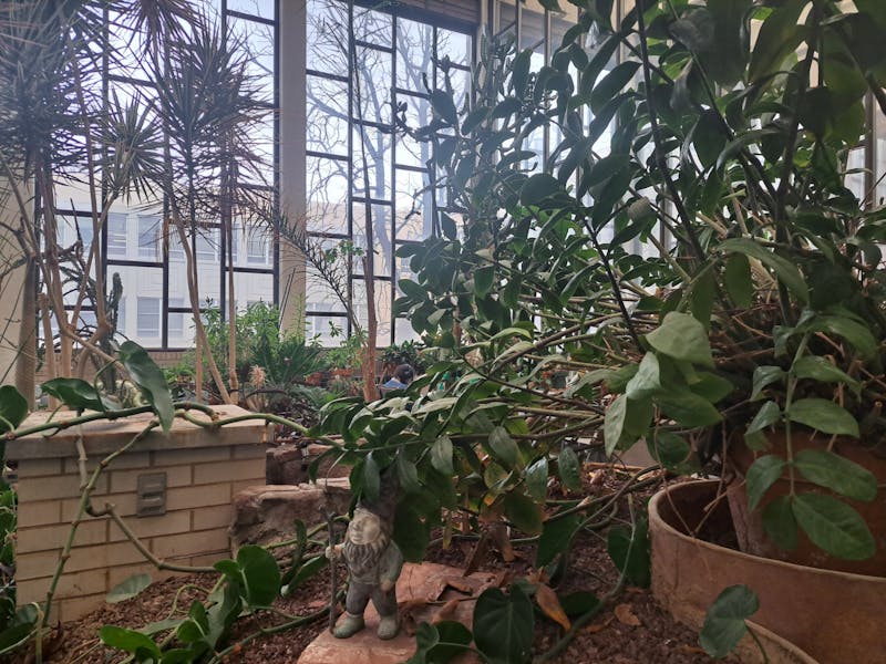 PHOTO STORY: OPINION: UNM offers opportunities to experience nature ...