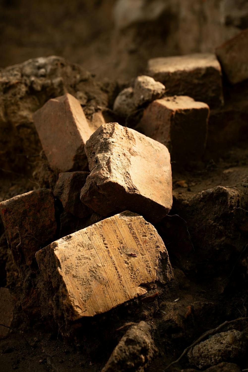 ObservatoryExcavation-3.jpg - The State News