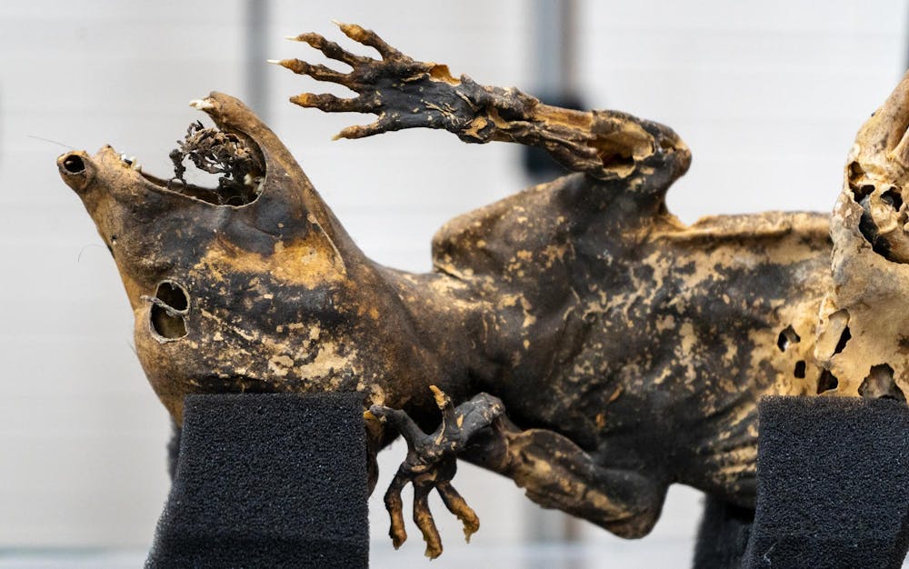 020408_AS_MUMMY_13.jpg - The State News