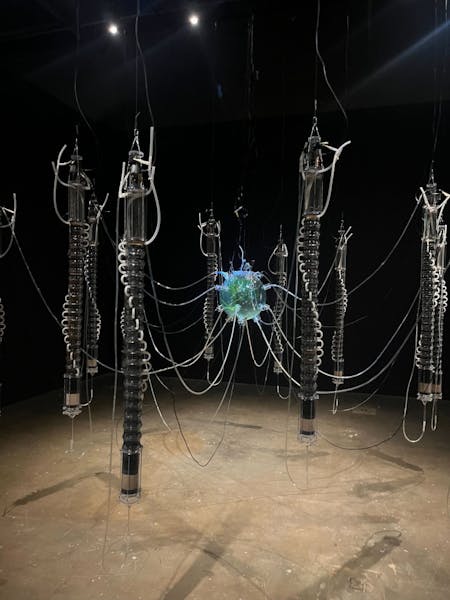 A guide to the MIT List Visual Arts Center - The Tufts Daily