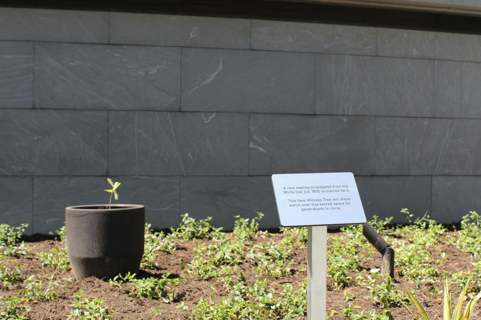 Burying Ground consecrated, capping years long project - The Collegian