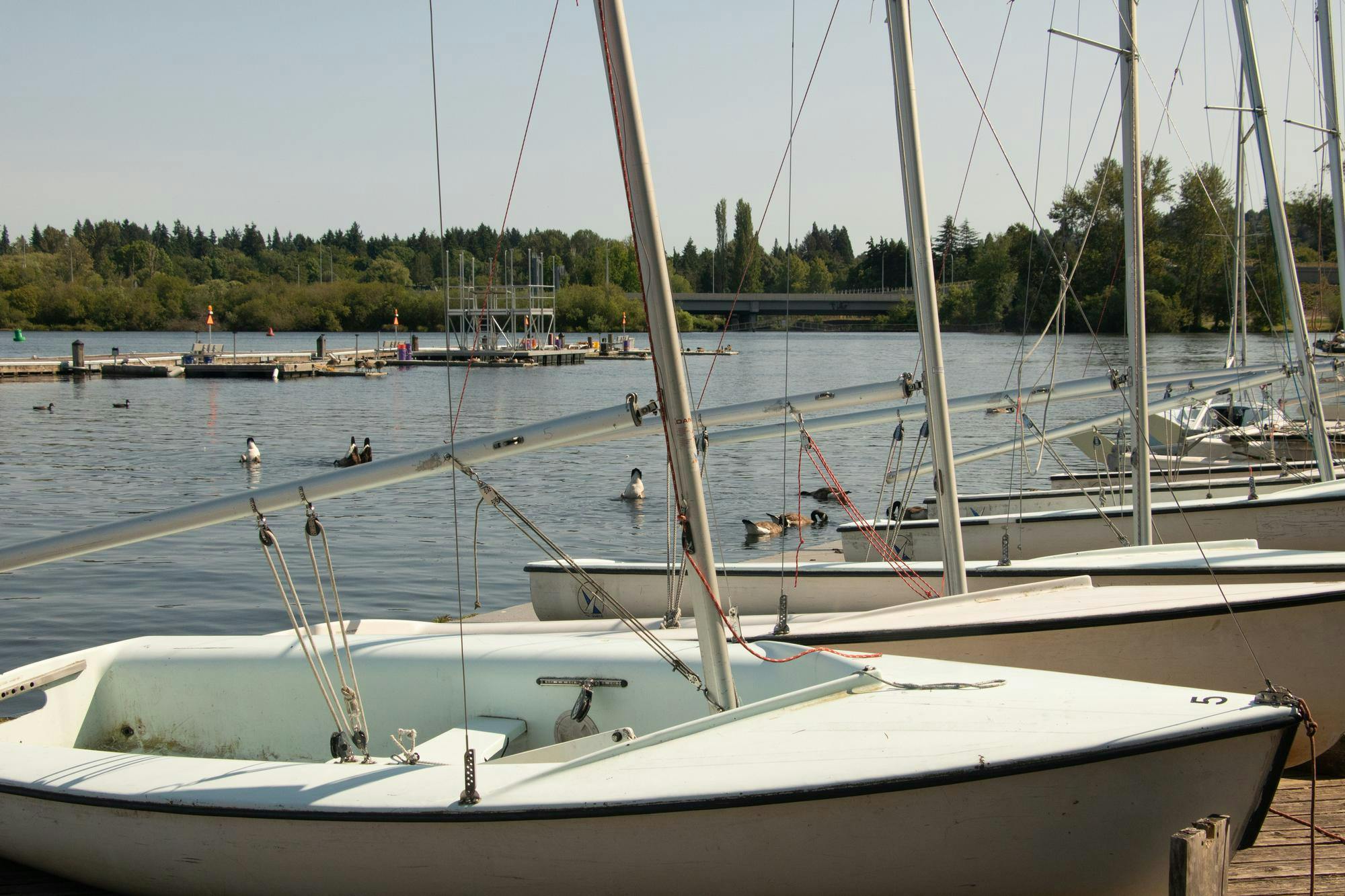 Person pulled from Lake Washington near Montlake Cut, Seattle Fire ...