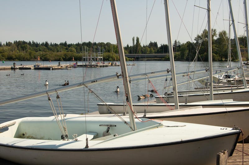 Person pulled from Lake Washington near Montlake Cut, Seattle Fire ...