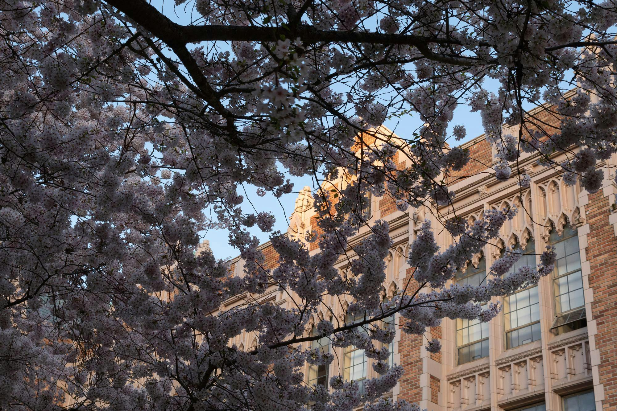 UW community reacts to Dean Harris' resignation, changes in College of ...