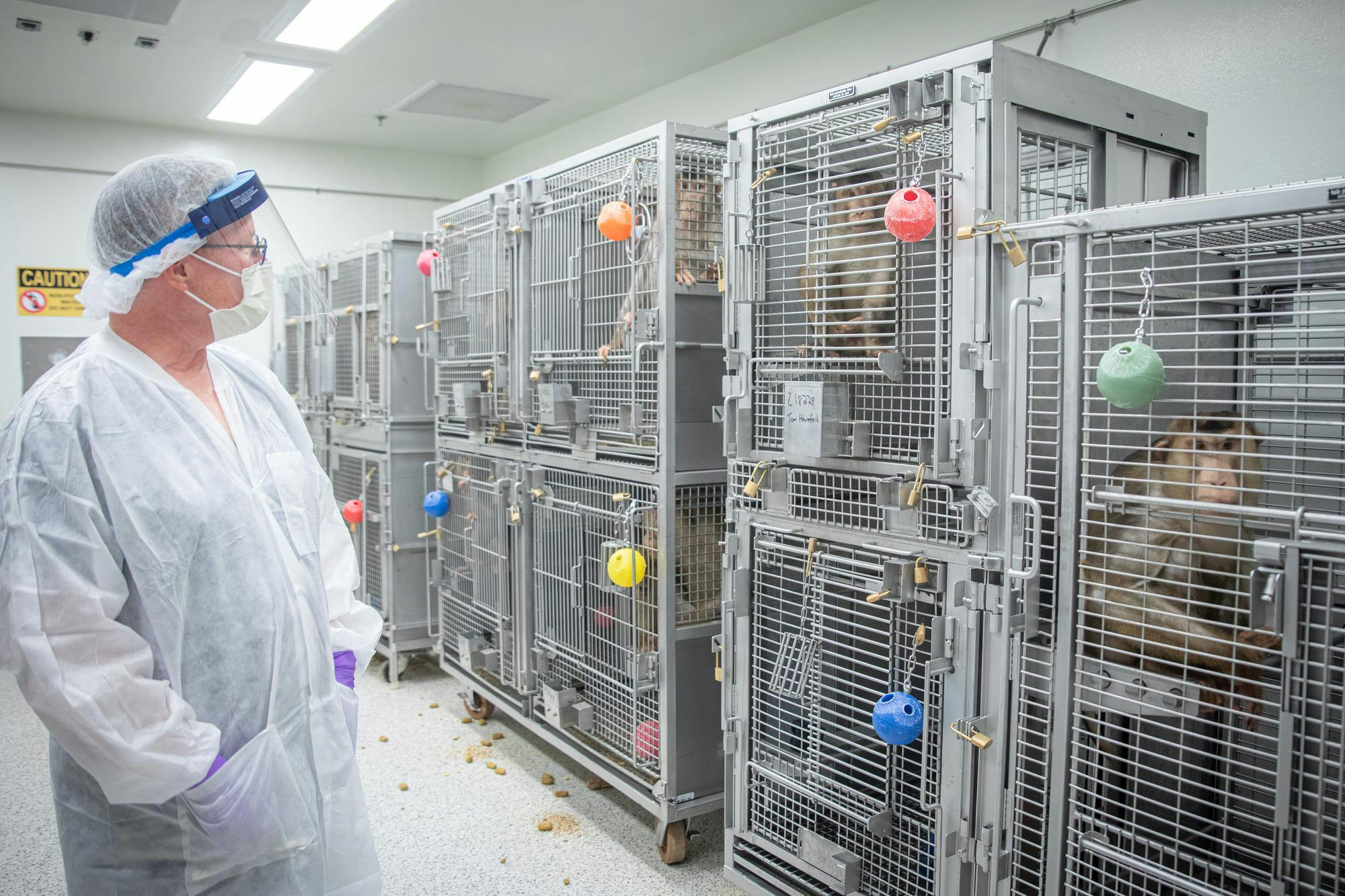 UW primate center changes name to ‘Washington National Biomedical ...