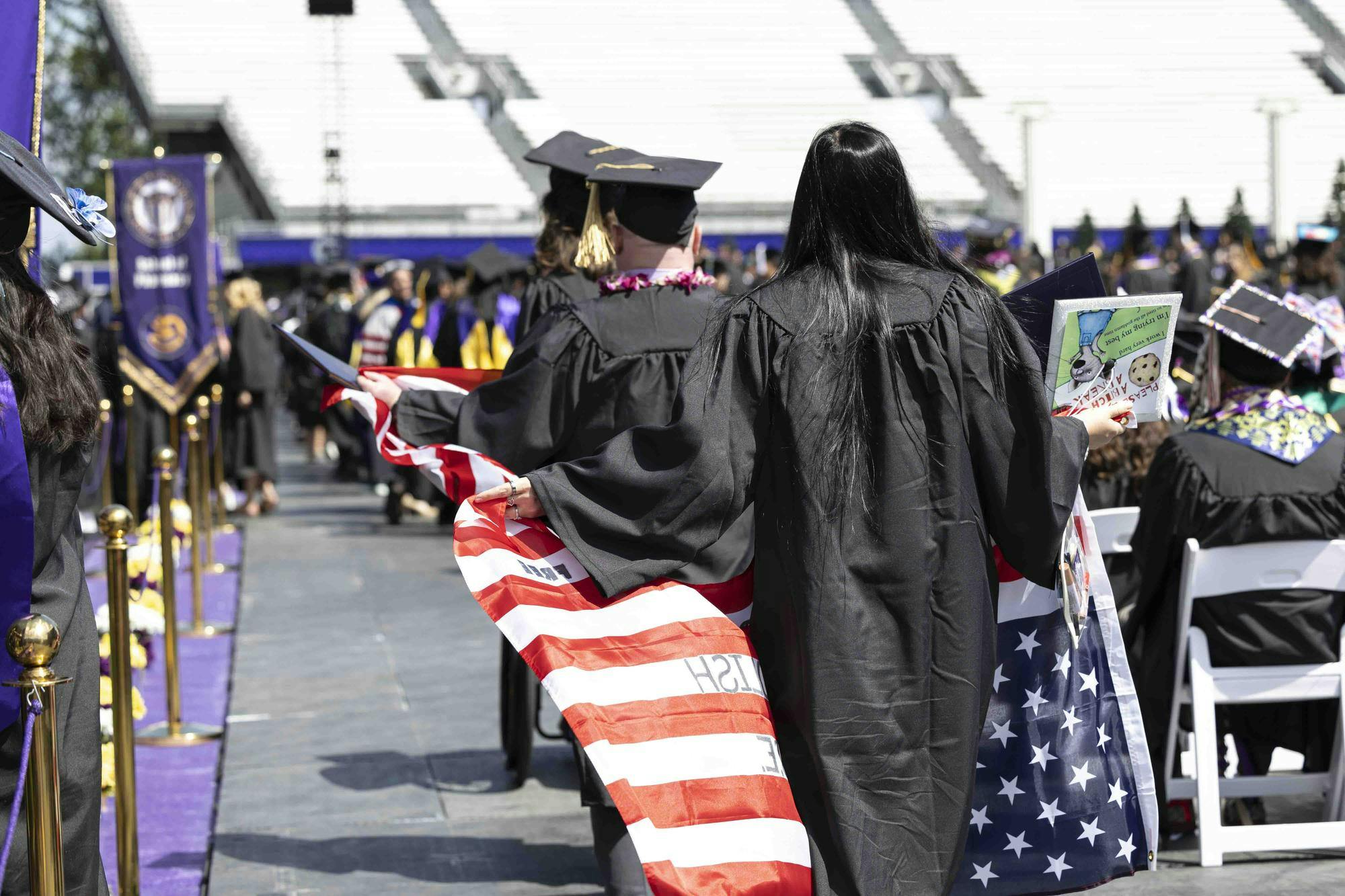 The Daily - The Daily