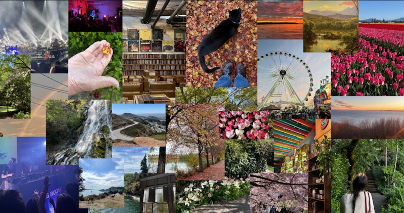 Reframing film and photography in the age of the everyday - The Daily