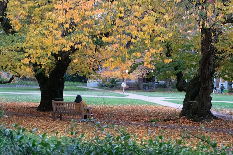 Be gentle and the rest will follow - The Daily