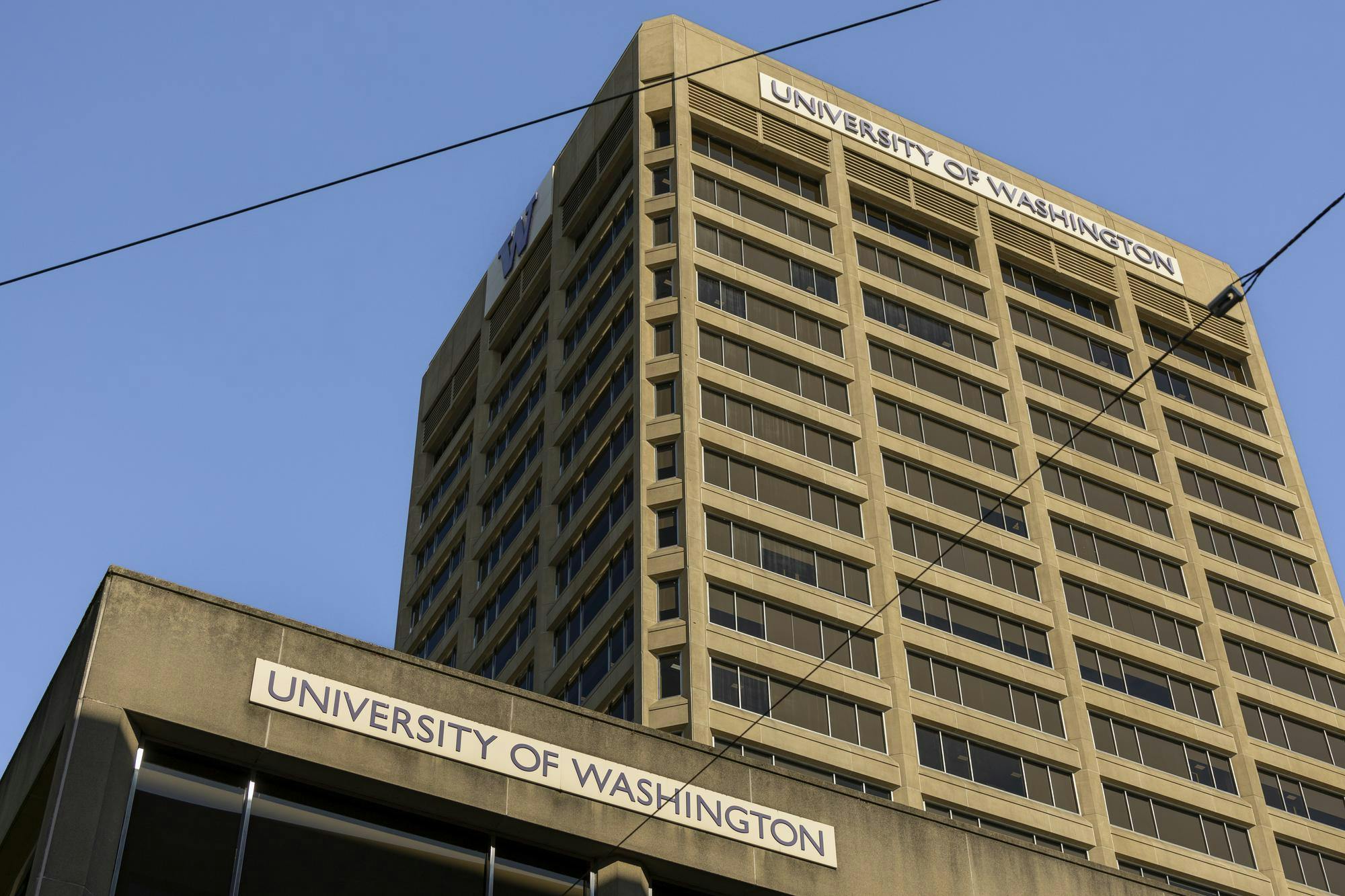 UW says nearly 500 unauthorized users accessed AI chatbot Purple since ...