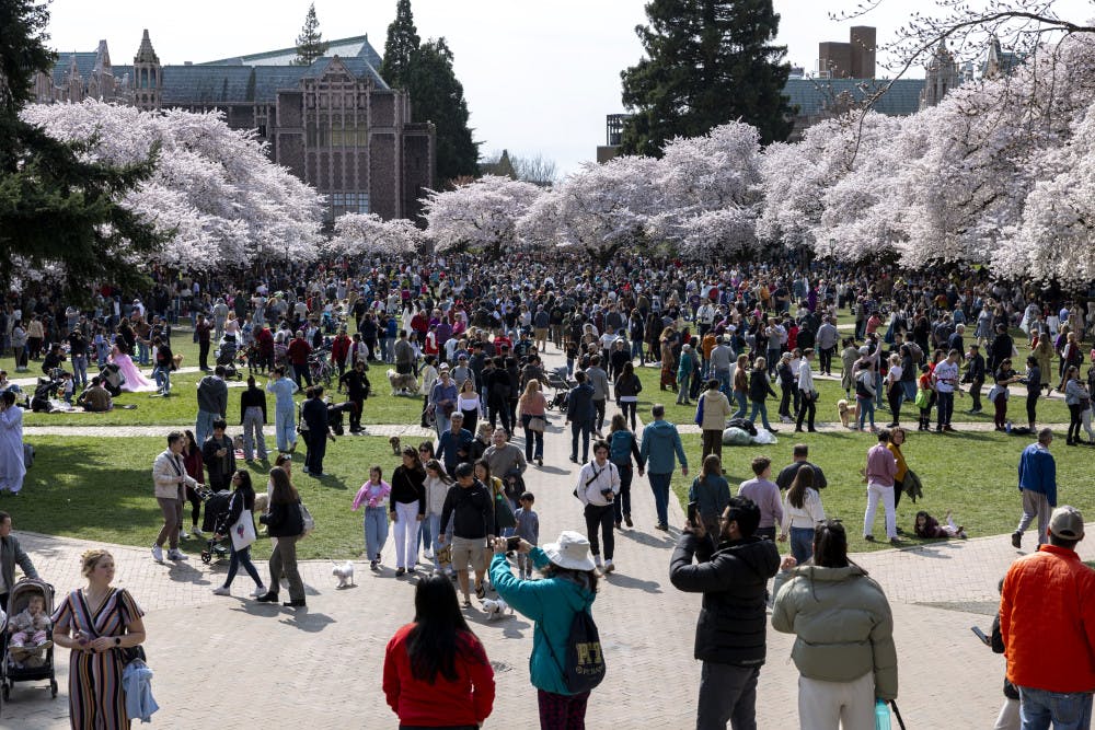 Students’ perspectives on cherry blossom season - The Daily