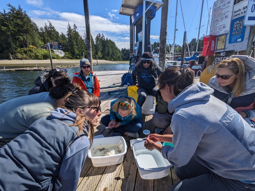 Pacific Northwest Crab Research Group researches dungeness crab ...