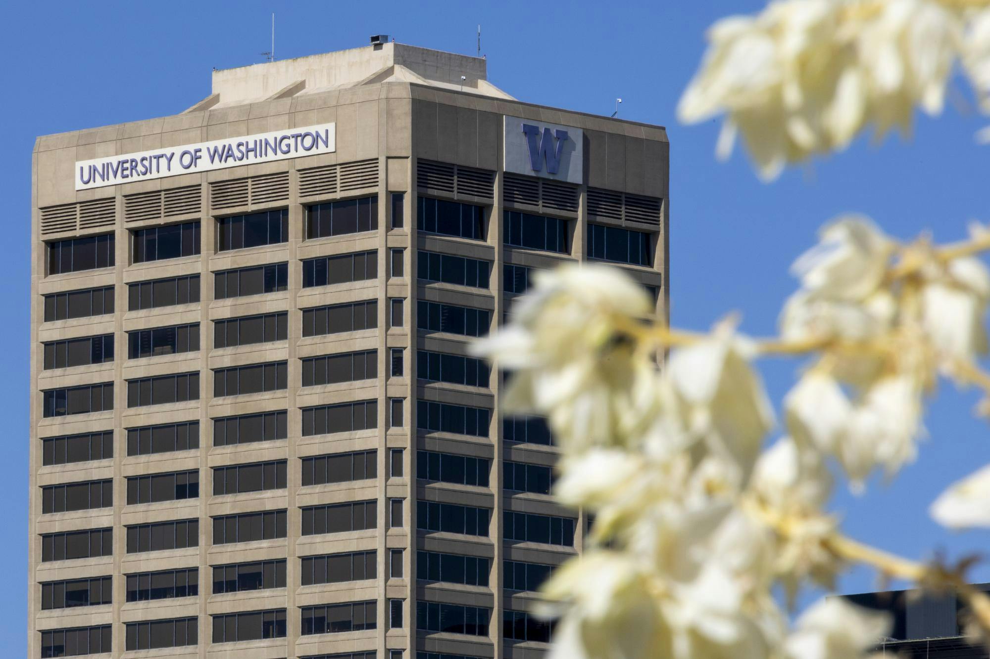 Register.UW introduces upgraded registration process - The Daily