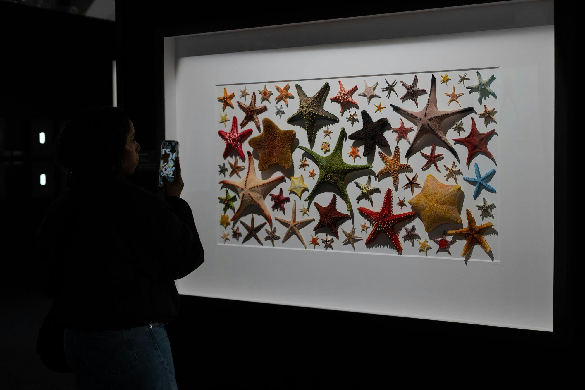 Christopher Marley brings art to life by putting life into art in ...