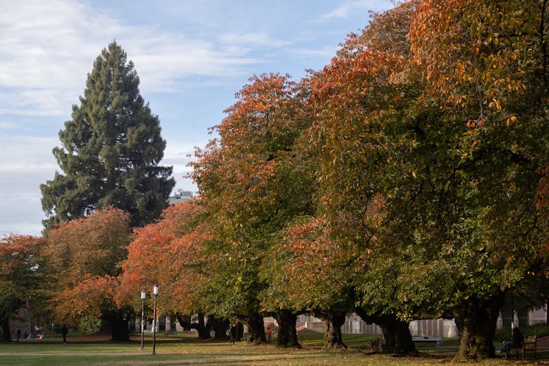 The Daily - The Daily