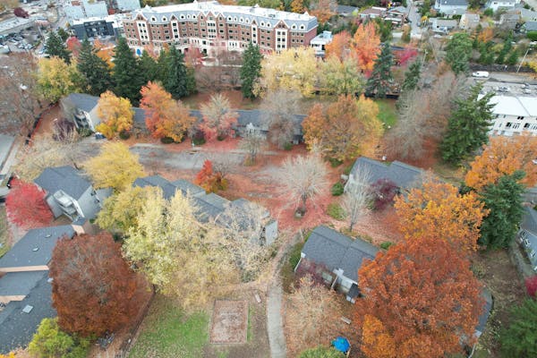 Out with the trees, in with the housing: Private equity’s plan for UW ...