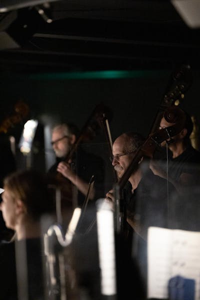 The Daily - The Daily