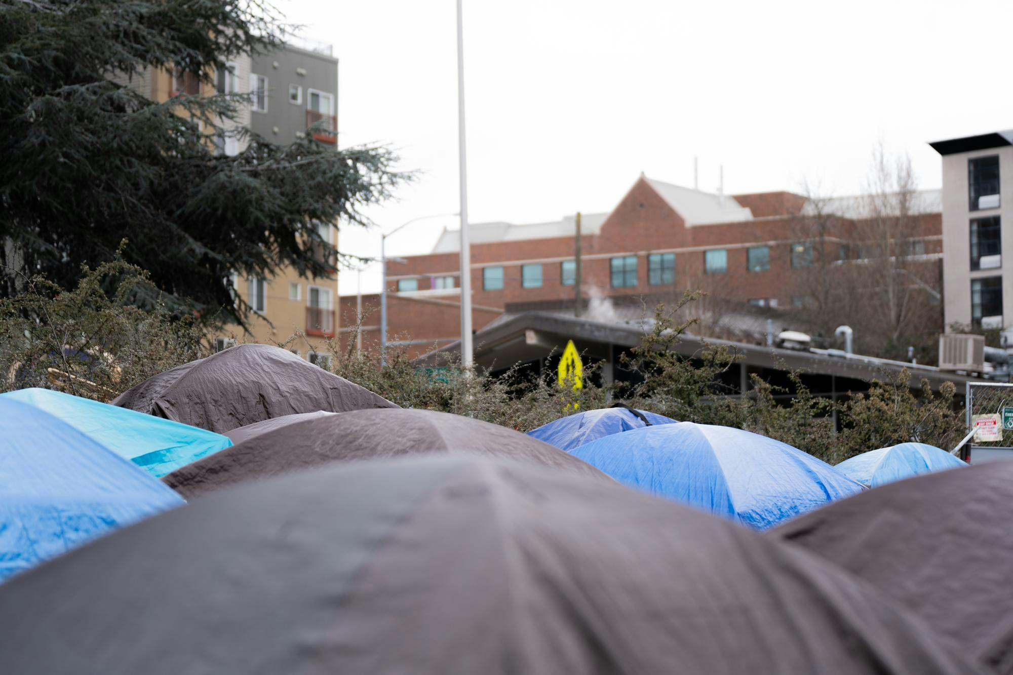 Humanity and action: The Seattle homelessness crisis needs our ...