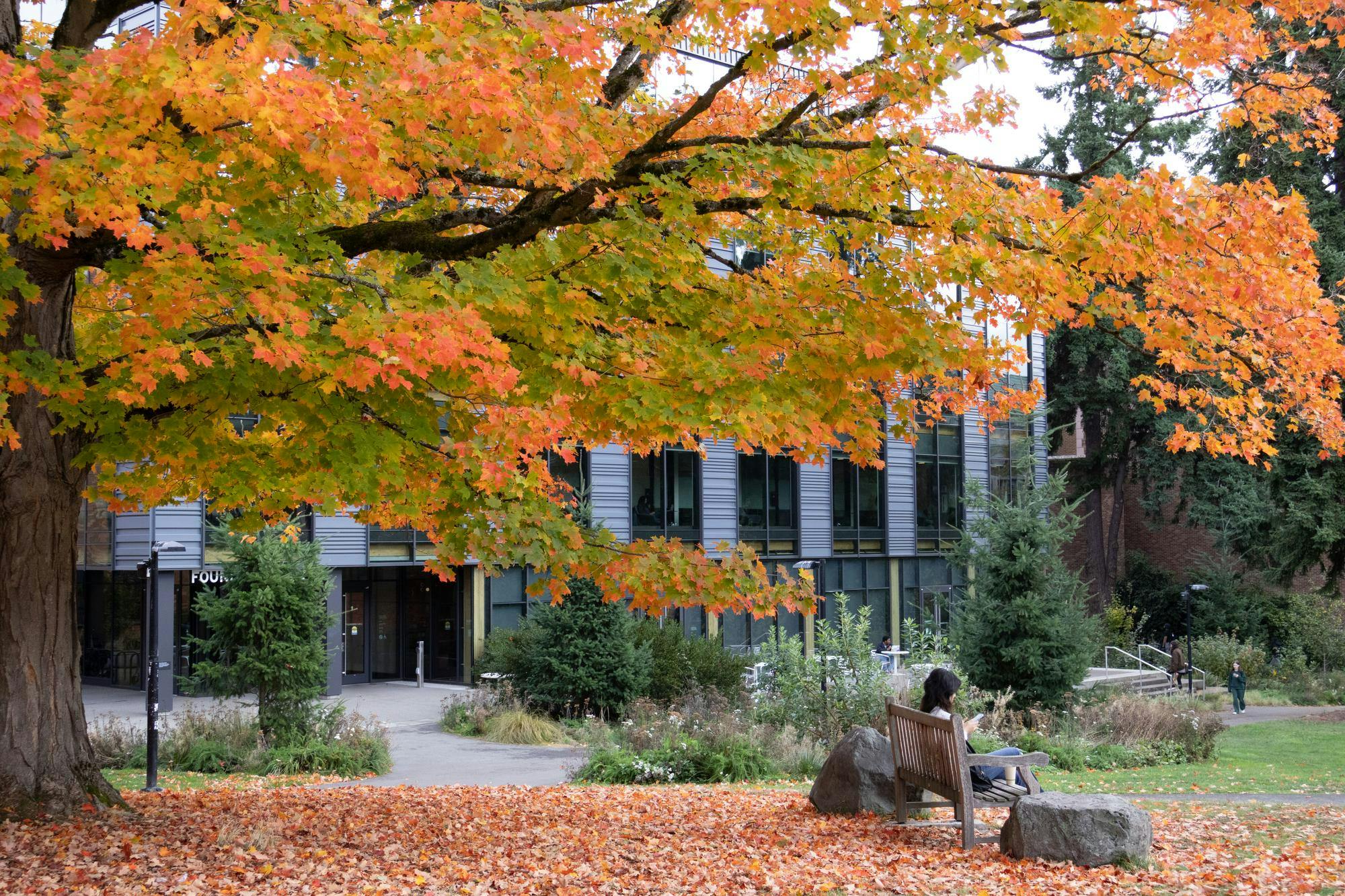 UW admission rates tighten across programs as applicant volumes ...