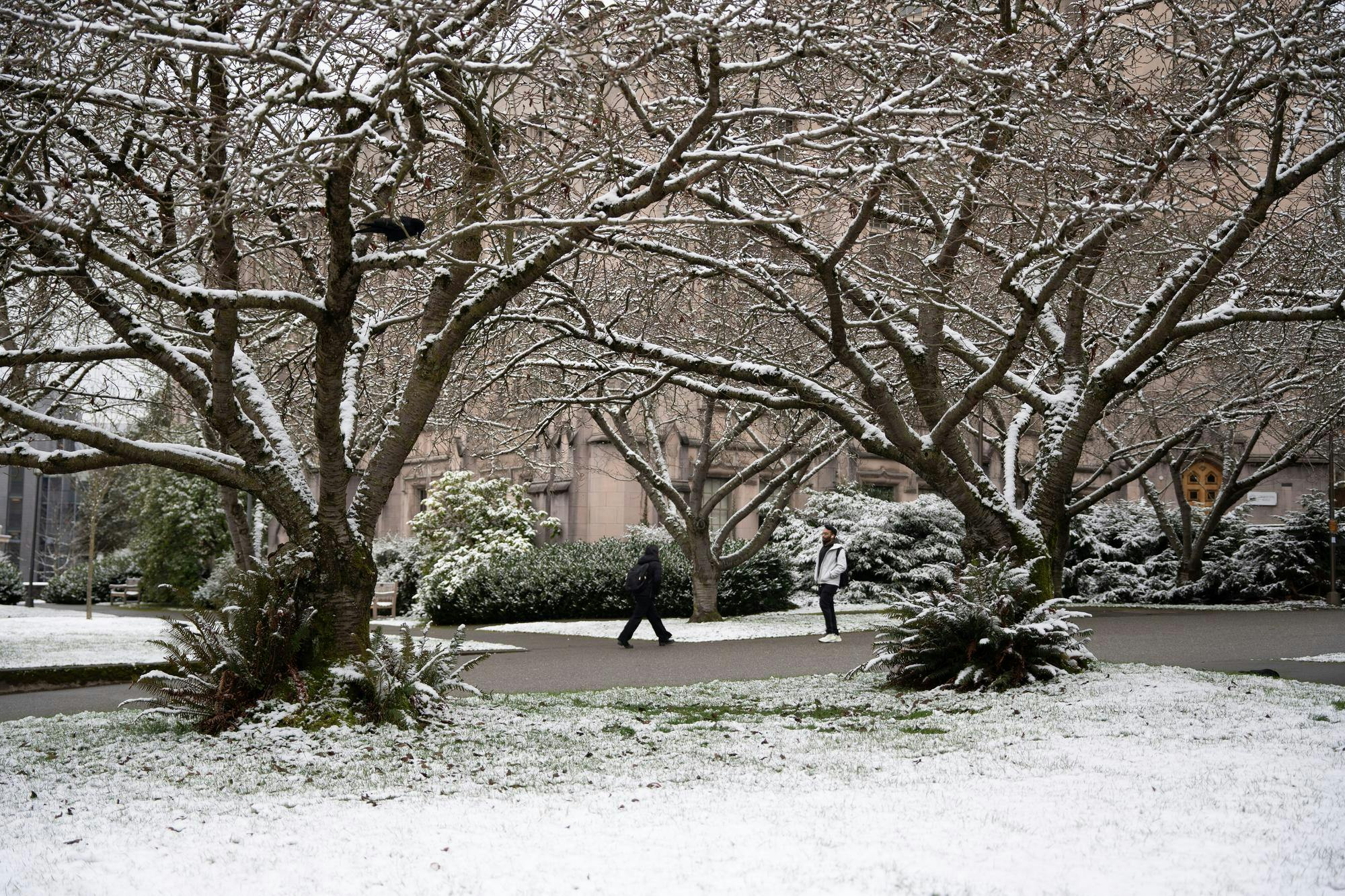 UW students deserve a longer winter break. Instead, it’s getting ...