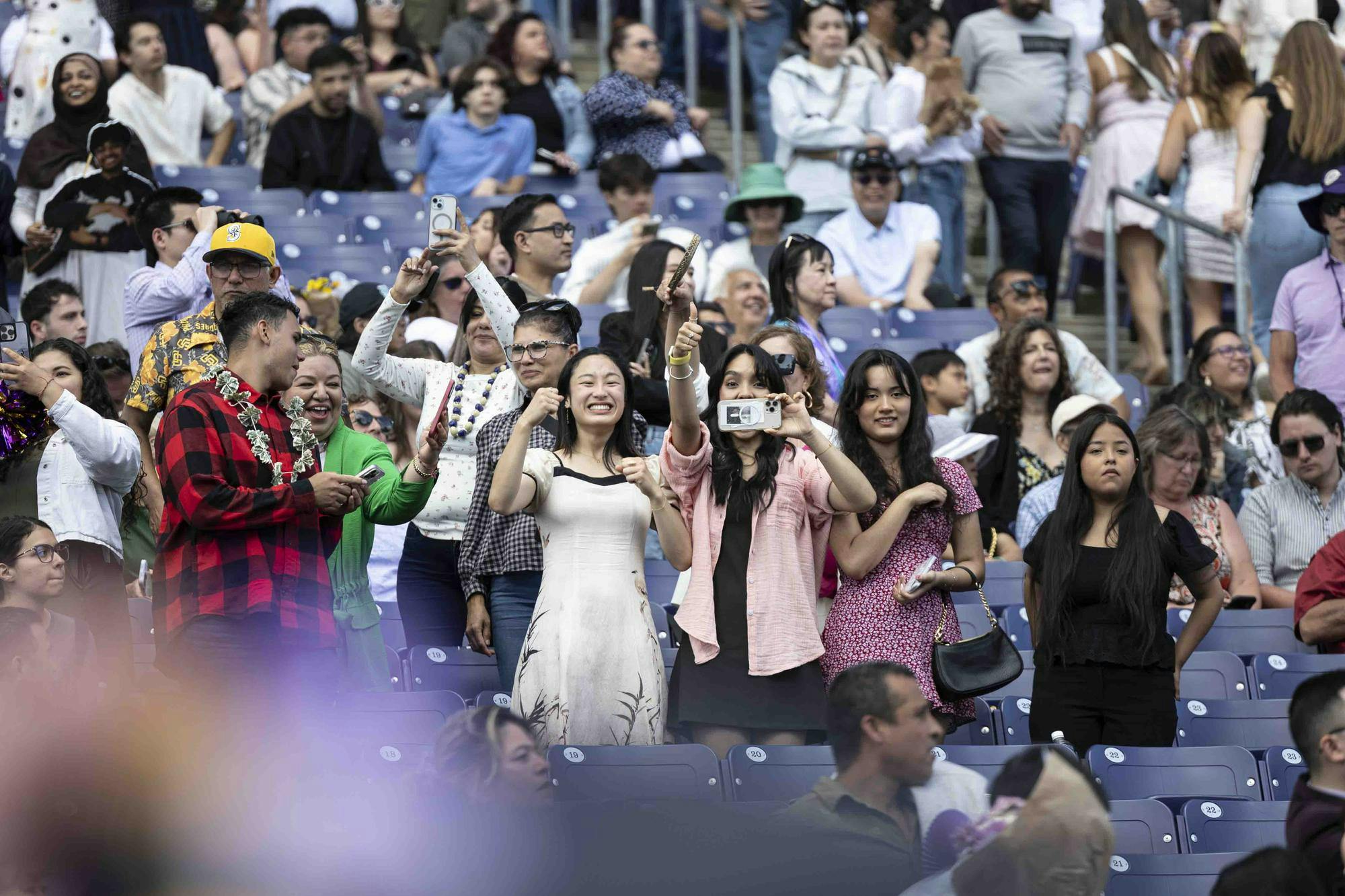 The Daily - The Daily