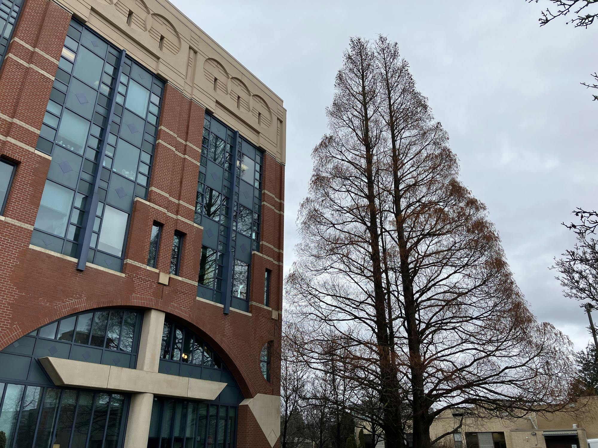 Revised Landmark Tree Ordinance moves on to final vote - The Front