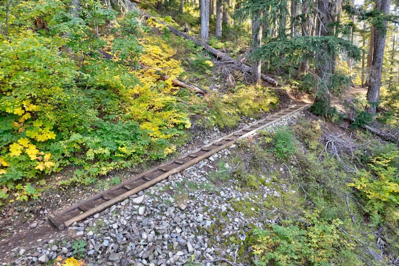 Q&A: How to become a steward of the land in Washington state - The Front