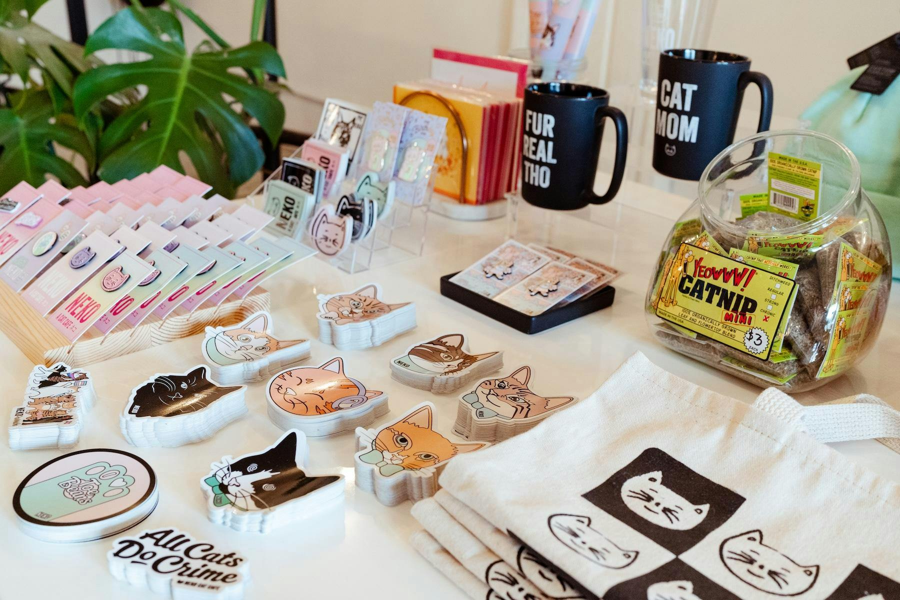 Student night at NEKO Cat Cafe - The Front