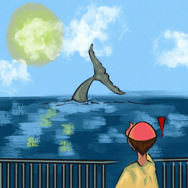 Dive into whale watching season on the Salish Sea - The Front