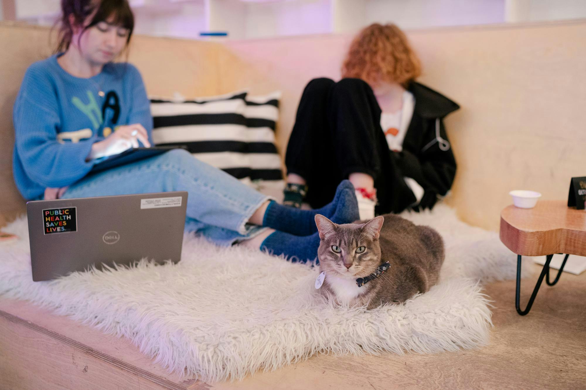 Student night at NEKO Cat Cafe - The Front