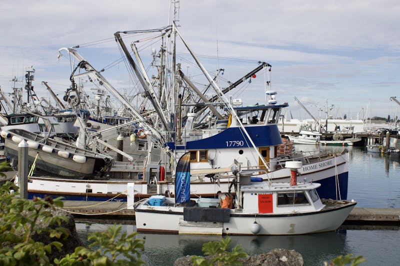 Bellingham's Annual SeaFeast takes over Zuanich Point Park - The Front