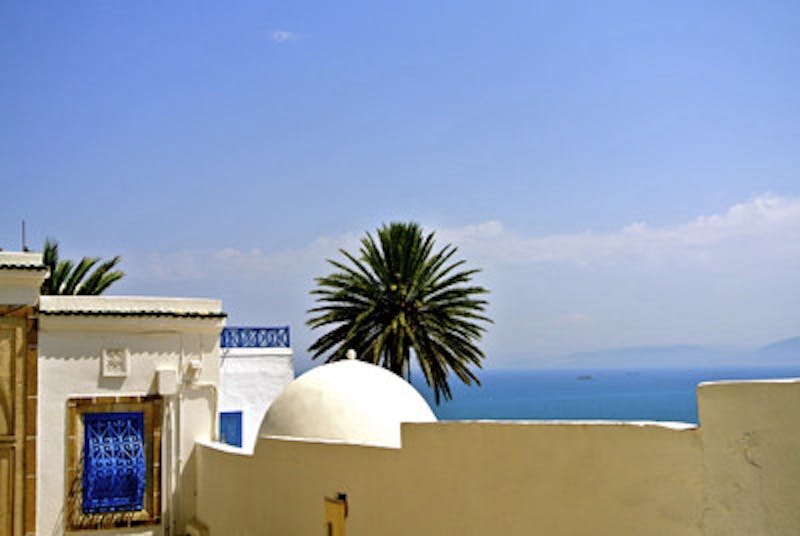 Tunisia: The North African Riviera - The Emory Wheel
