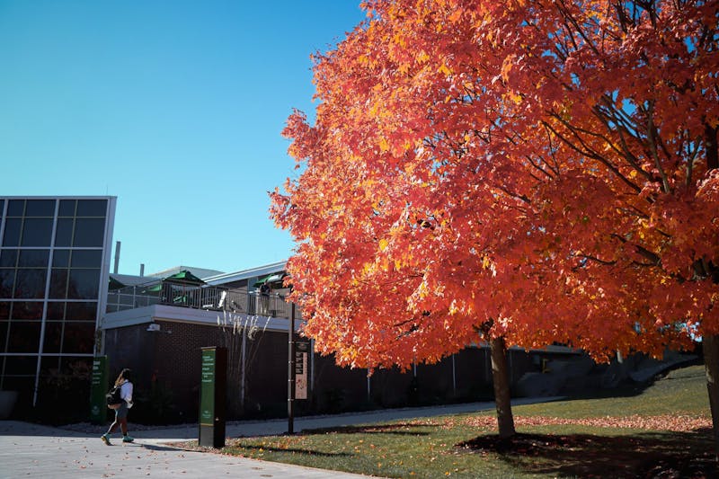 Businesses On and Off Campus: University Entrepreneurship - Wright State Guardian