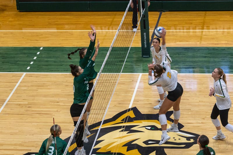Guardian Gallery: Volleyball Horizon League Tournament - Wright State ...