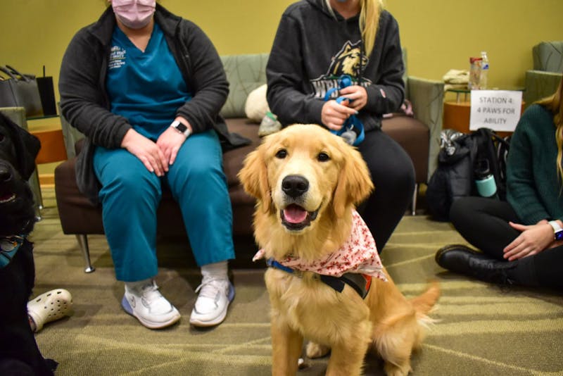 Opinion: Service Dogs and Wright State - Wright State Guardian